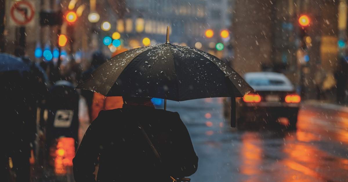 Spotify Rain - Hollywood Progressive