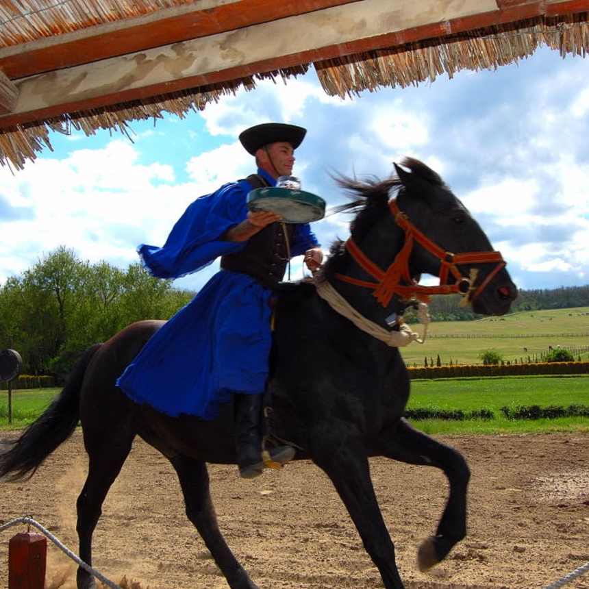 Hungarian Horsemen, Houdini, Shoe Shrine, Castles - Hollywood Progressive