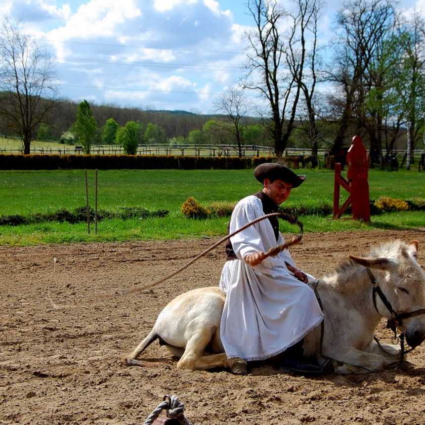 Hungarian Horsemen, Houdini, Shoe Shrine, Castles - Hollywood Progressive
