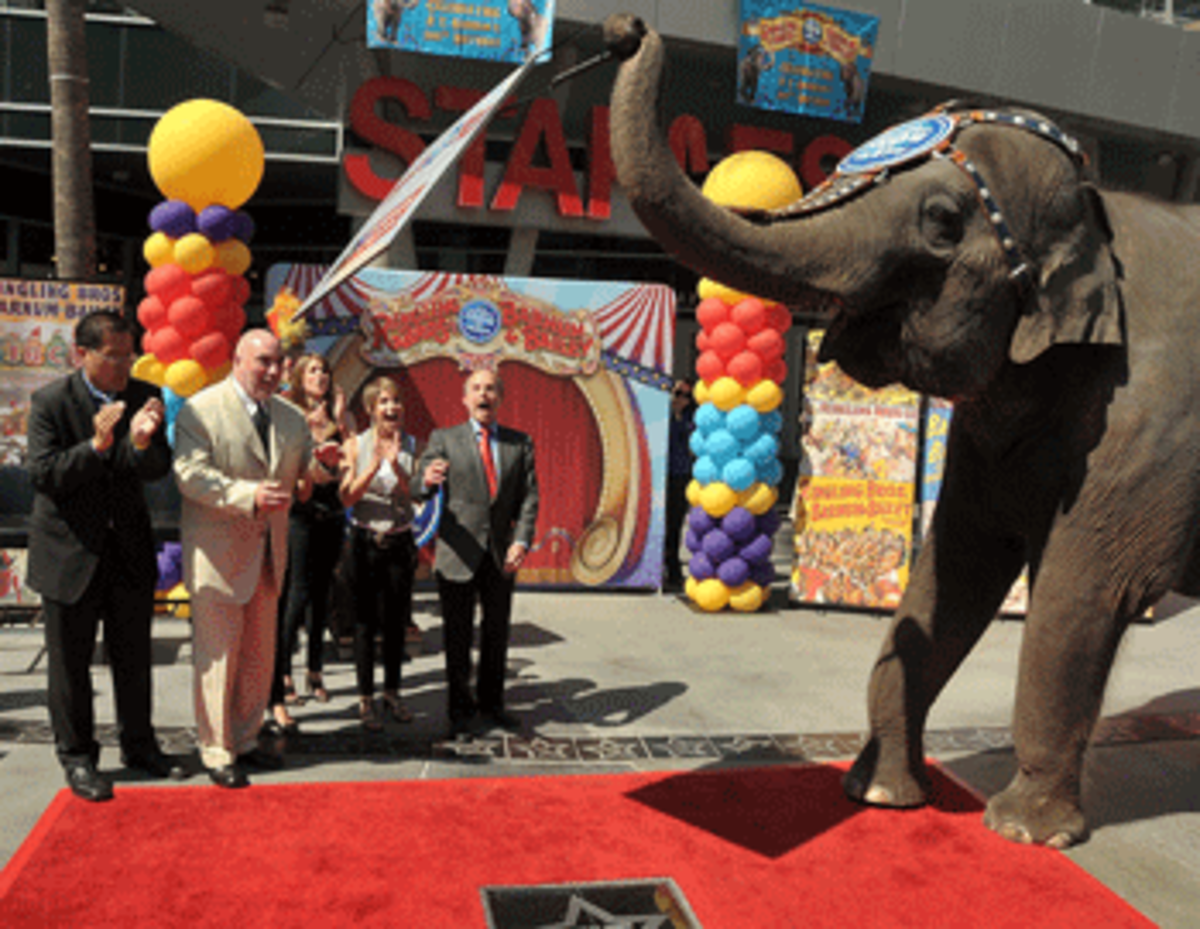 Bread and Circuses and Animal Rights - Hollywood Progressive