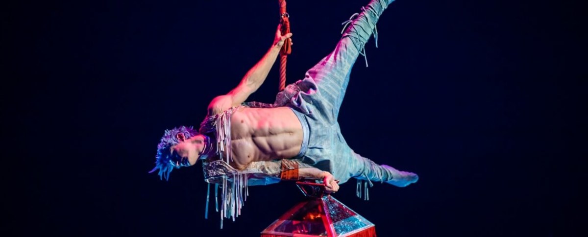Suspended Animation: Get Ready to Tumble! - Hollywood Progressive