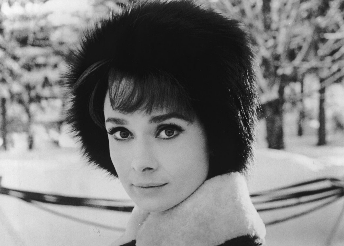 Audrey: See It on Netflix Before It Leaves after the 14th - Hollywood ...