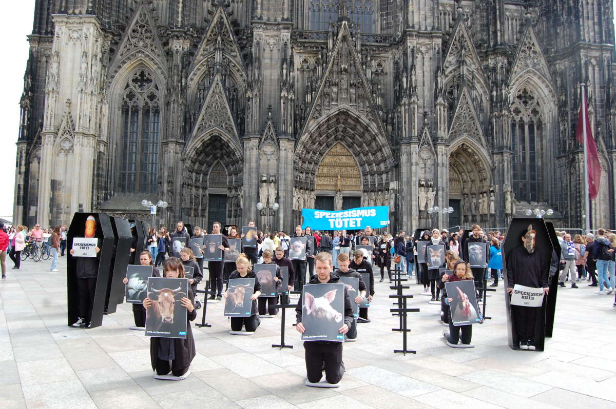 River Trek: Crossing the Continent via Viking’s Danube, Rhine Grand ...