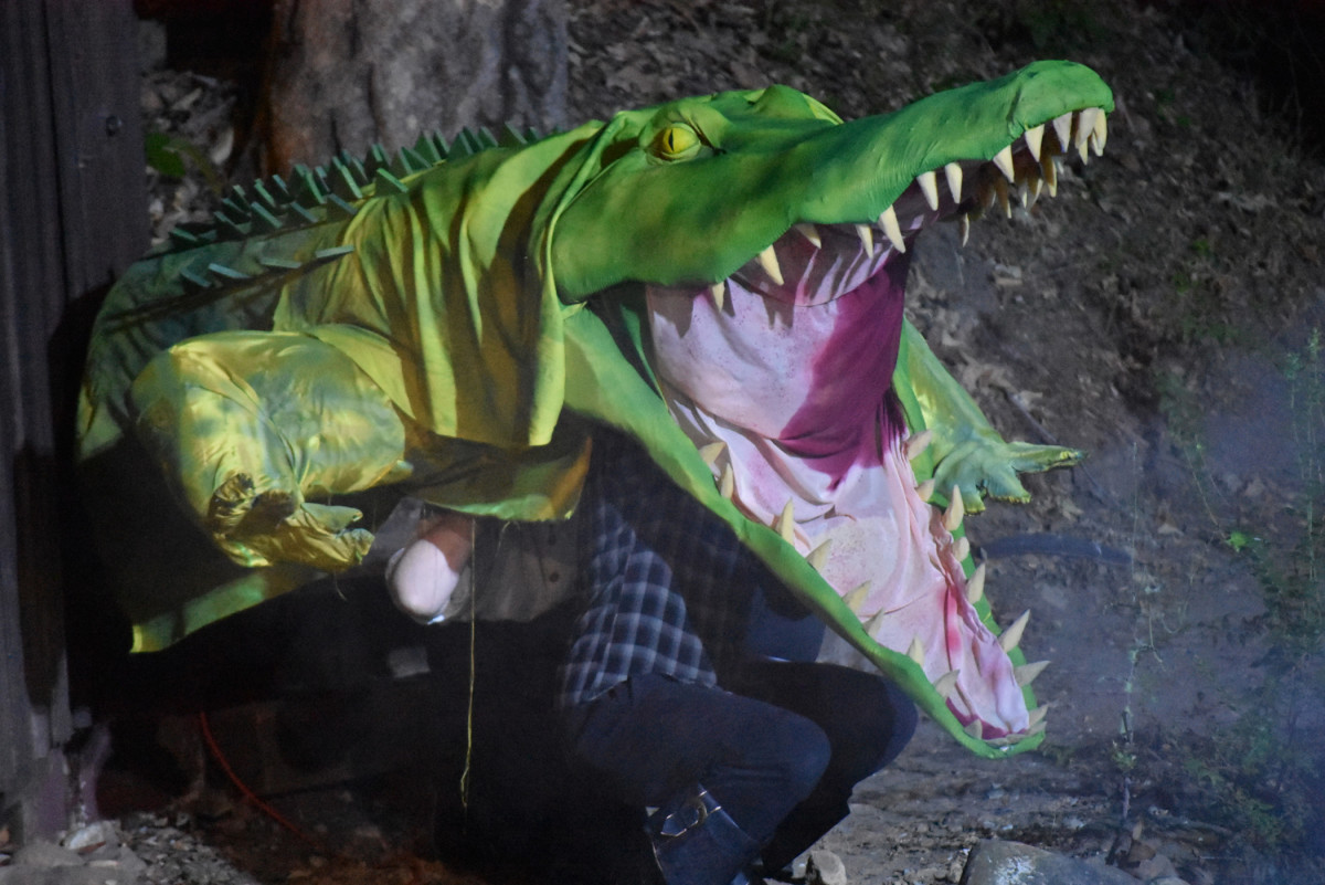 The Eternally Charming Peter Pan - Hollywood Progressive